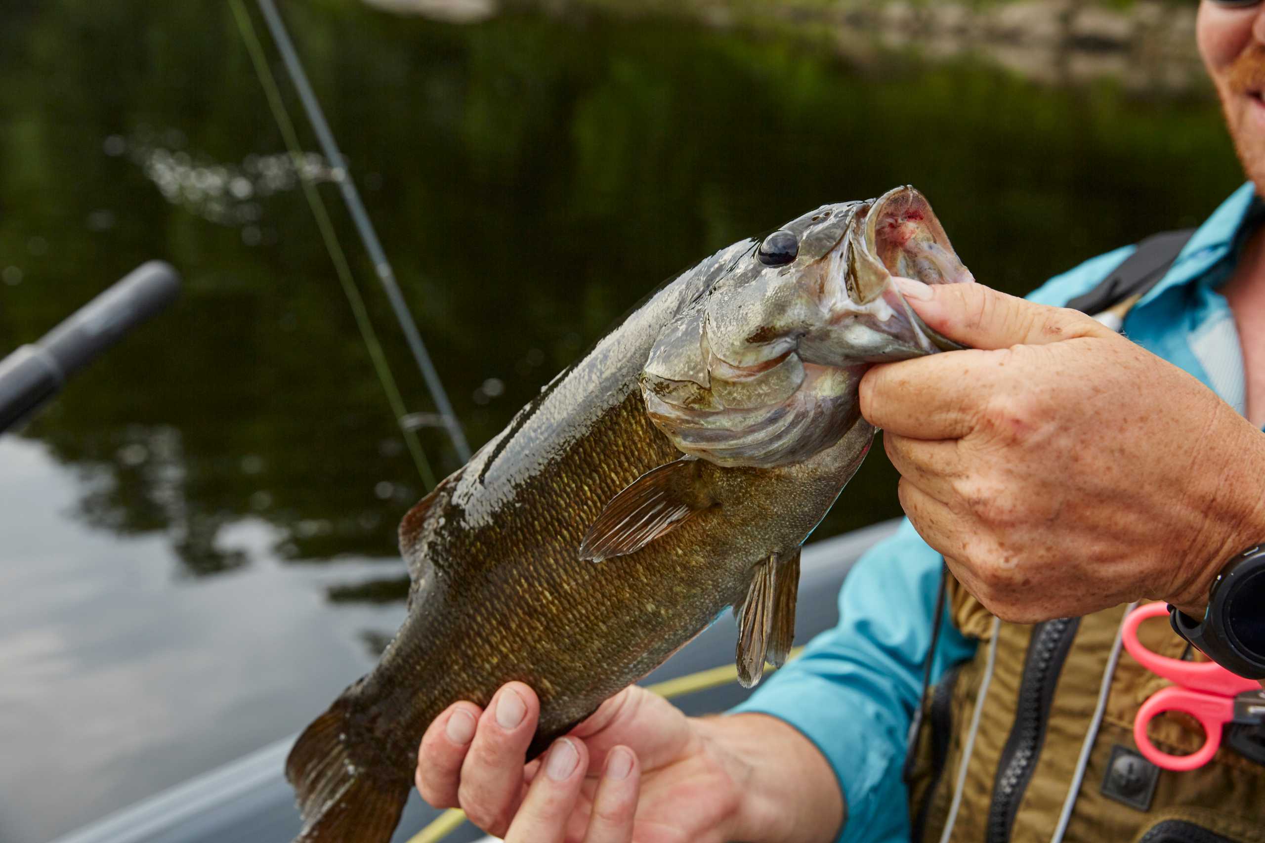 Introduction to Fly-Fishing Course at L.L.Bean's Private Pond