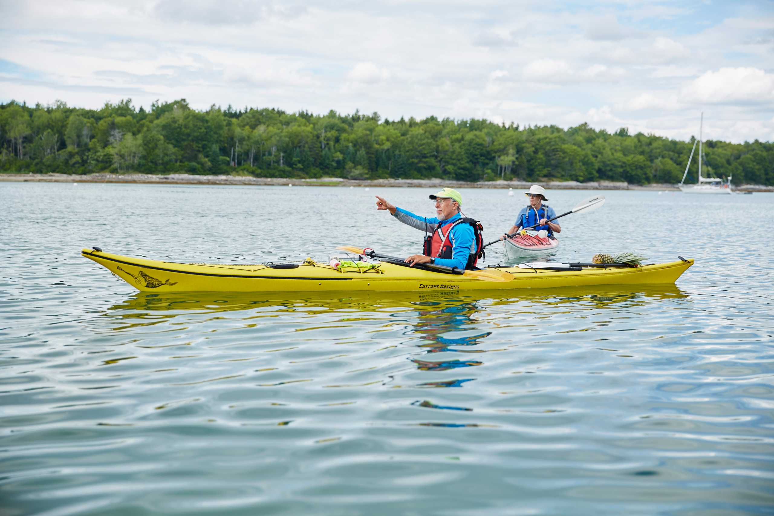 Guided Birding Kayak Tour – Quakertown
