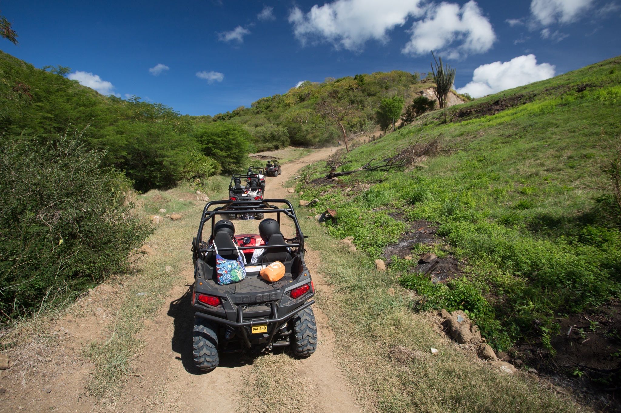 Dune Buggy Hogg Island Adventure