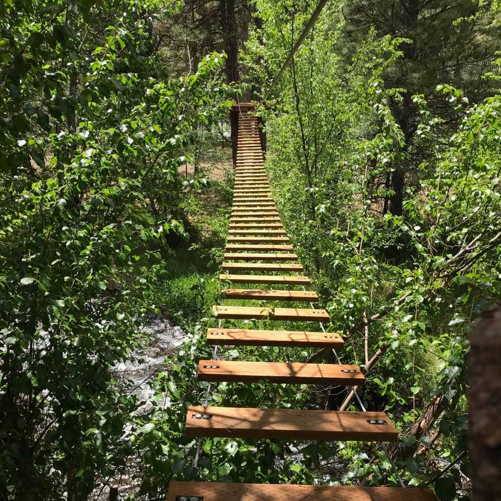 Zipline & Ropes Course Adventure