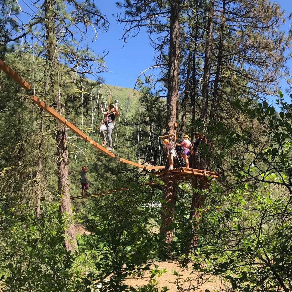 Zipline & Ropes Course Adventure